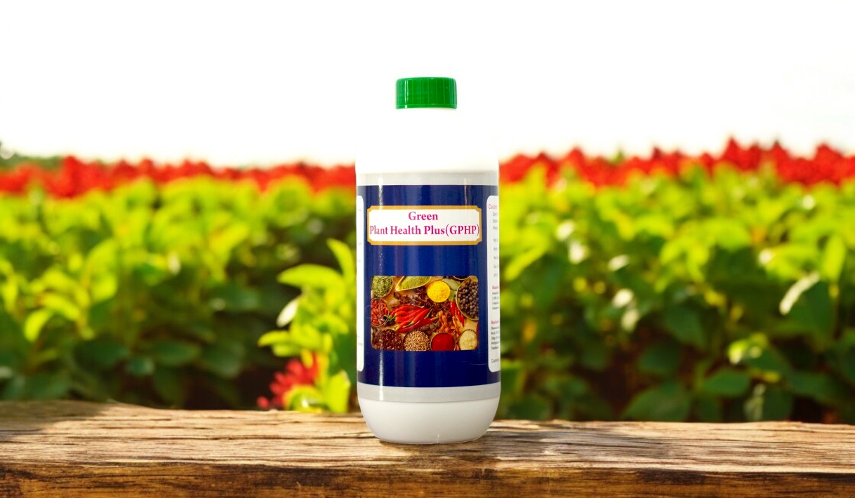 GreenLife Biotech Lab - Eco-Friendly Agricultural Solutions